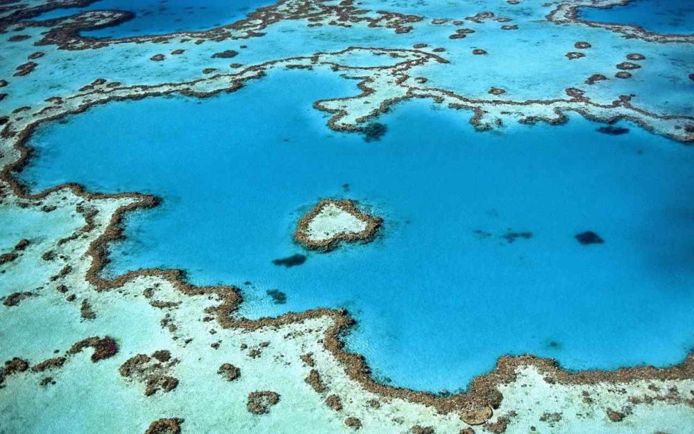 Top 10 Largest Seas and Oceans in the World