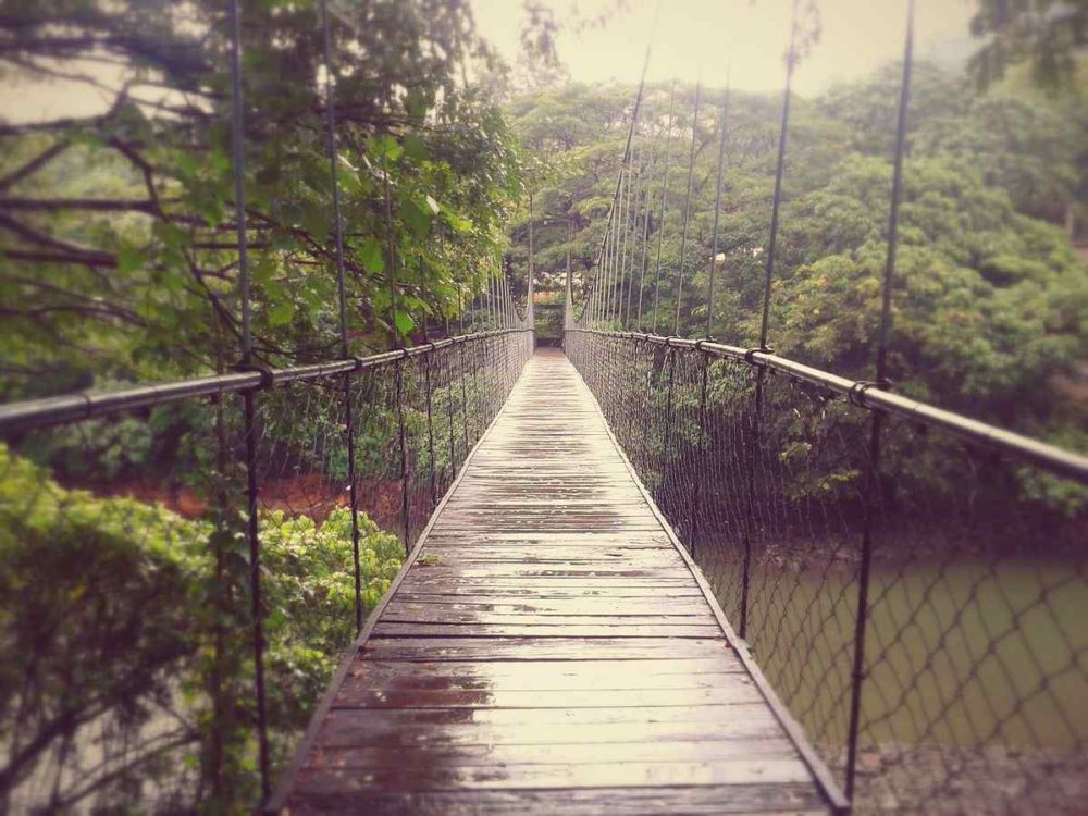 Top 10 Terrifying Rope Bridges Around The World