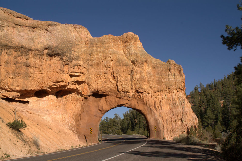 Top 10 Largest States In The USA