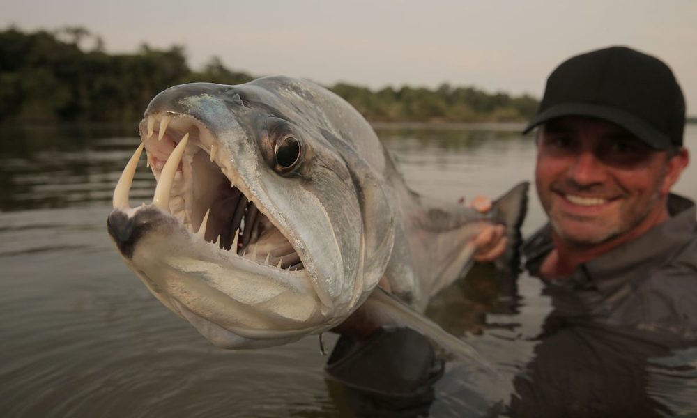 10 Most Scariest Looking Fishes in The World