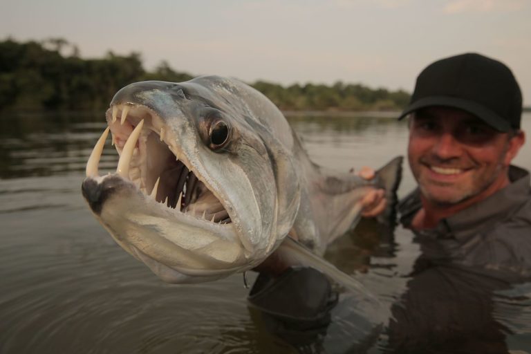 10 Most Scariest Looking Fishes in The World