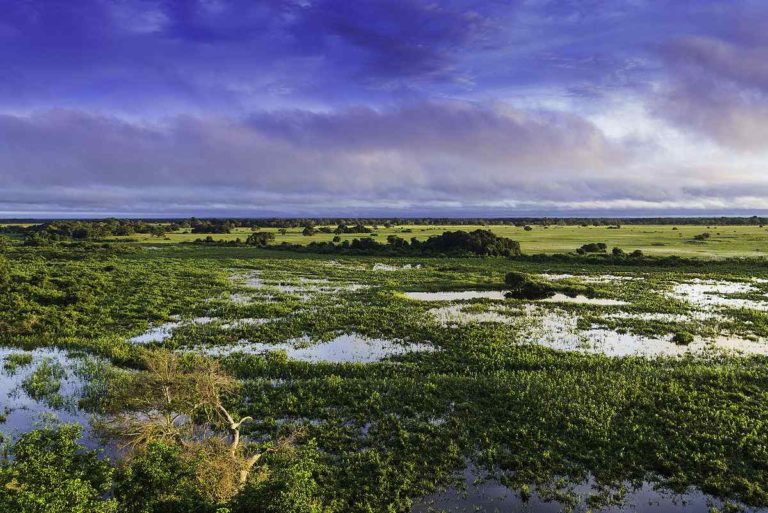 Top 10 Major Wetlands in the World