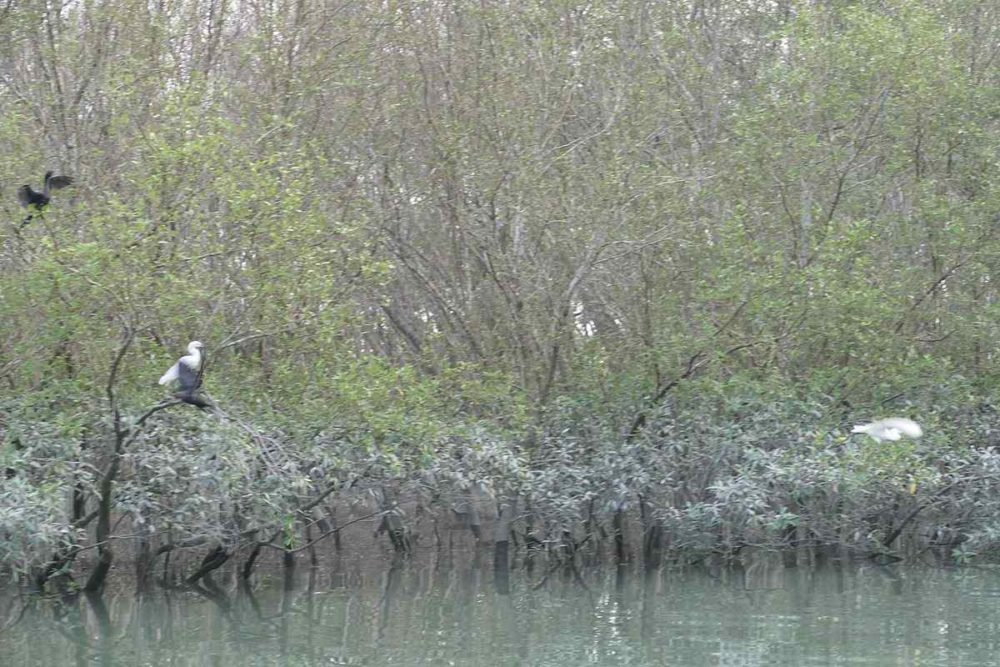 Top 10 Major Wetlands in the World