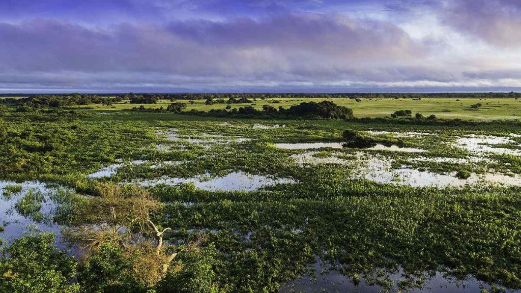 Top 10 Major Wetlands in the World