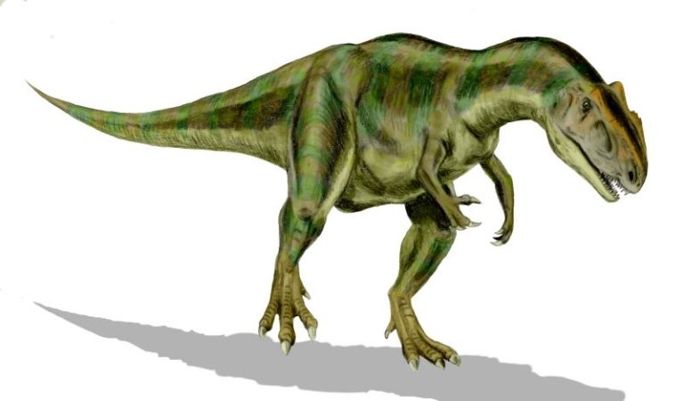 10 Deadliest Carnivorous Dinosaurs