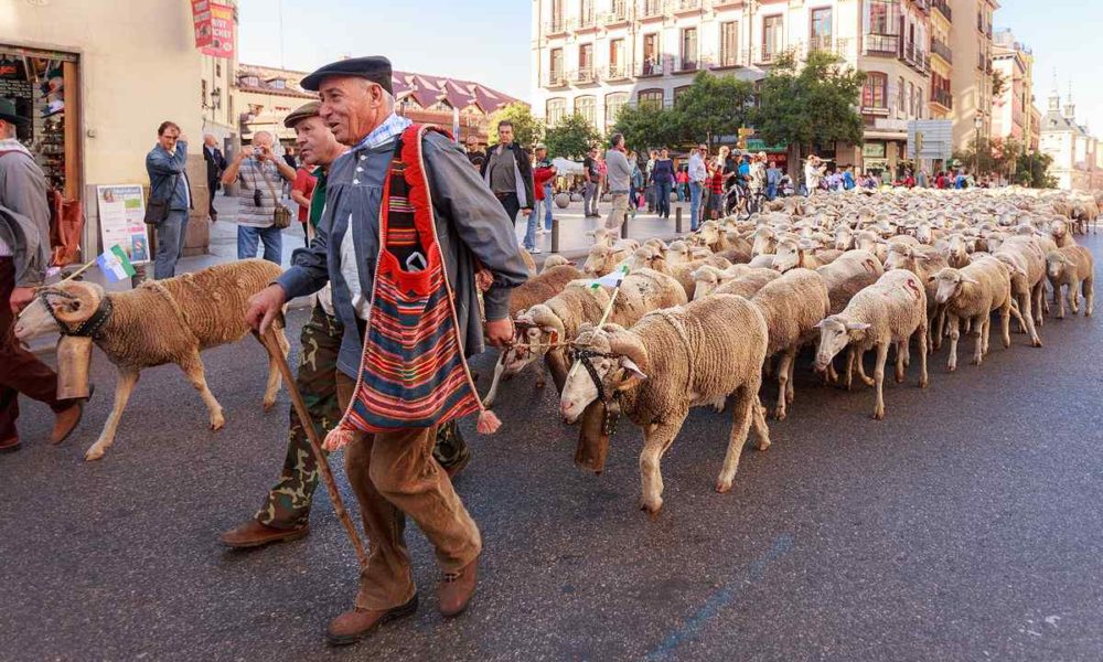 3 Festivals That Celebrate Animals Species