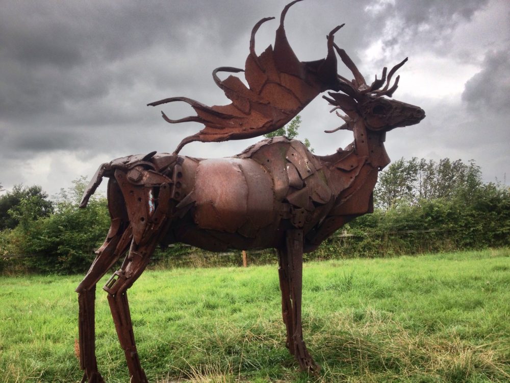 10 Extinct Animals Of Planet Earth