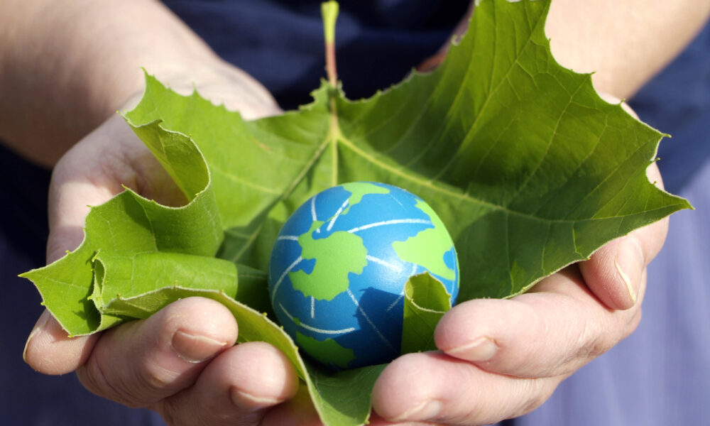 What, Why, and How of Environmental Conservation