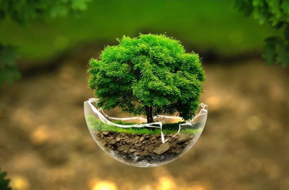 What, Why, and How of Environmental Conservation