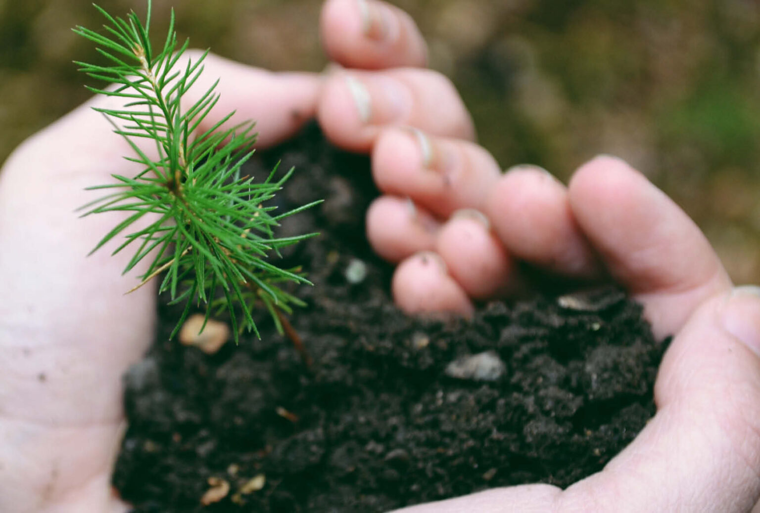 What, Why, and How of Environmental Conservation