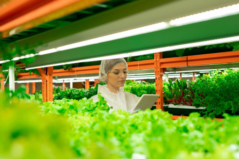 What is Hydroponic Farming? The key Difference Between Traditional and ...