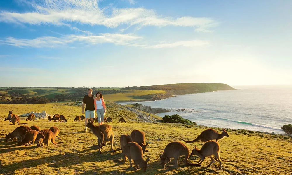 Amazing Australia Experiences for Every Type of Traveler
