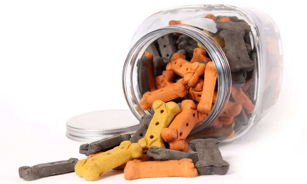11 Tips On Properly Storing Your Pet's Snack On A Dog Treat Container