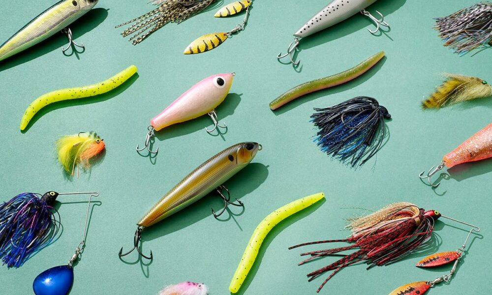 What Kind Of Lures Do Freshwater Fish Like - 2024 Guide
