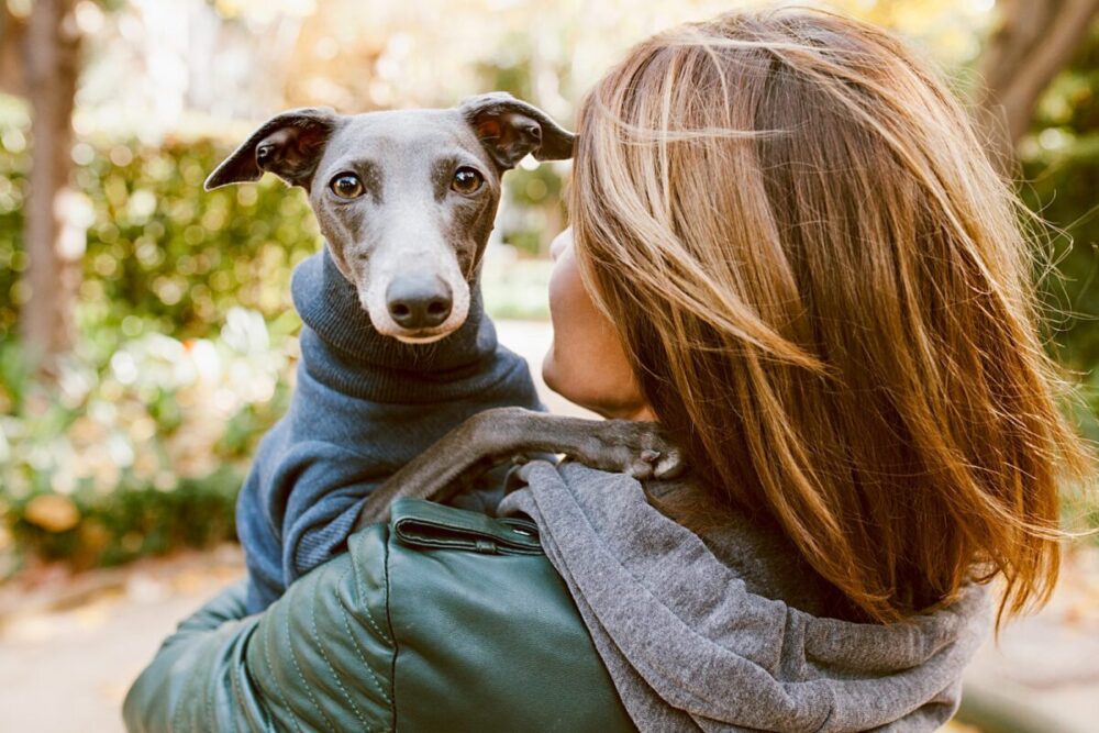 The History and Characteristics of Italian Dog Breeds ─ 10 Things to Know