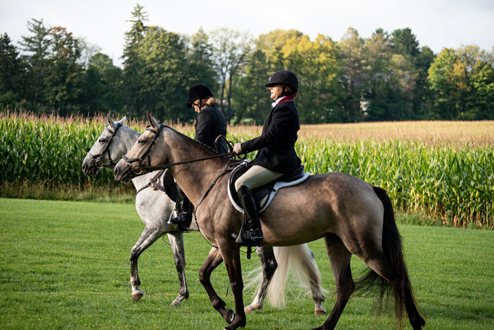 Going on Your First Hunting Expedition: 5 Tips for Beginners