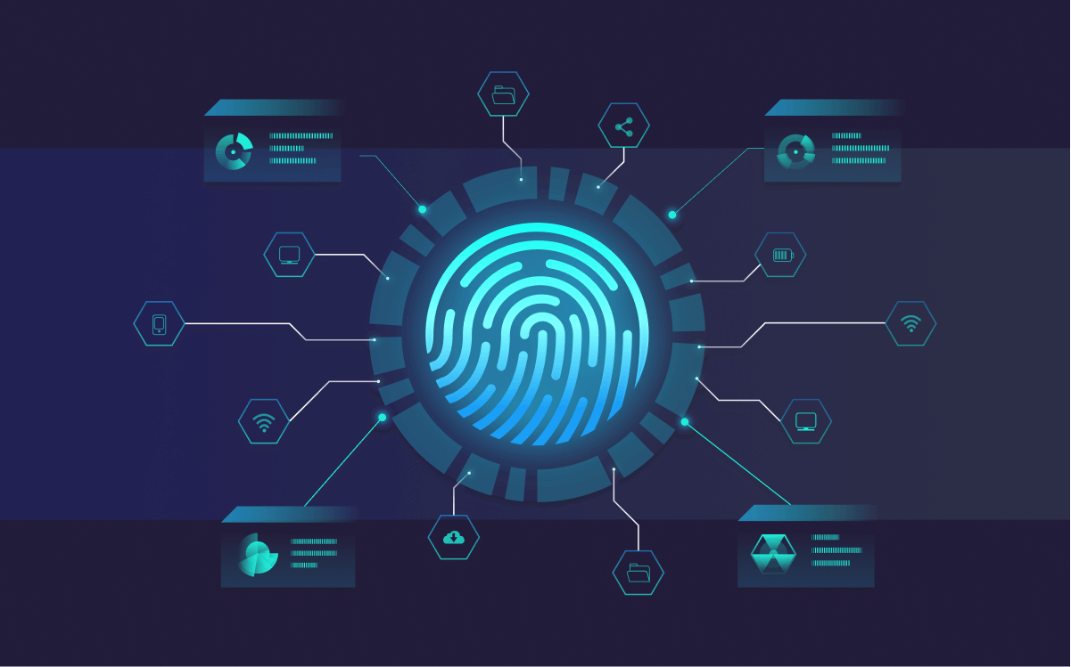 Brain vs. Computer: What Differentiates Them