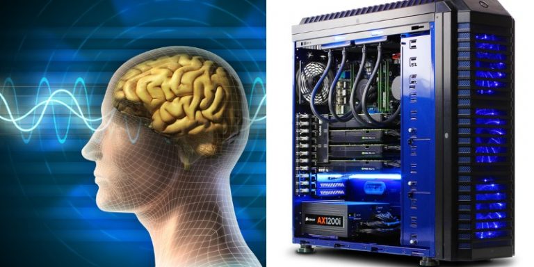 Brain vs. Computer: What Differentiates Them