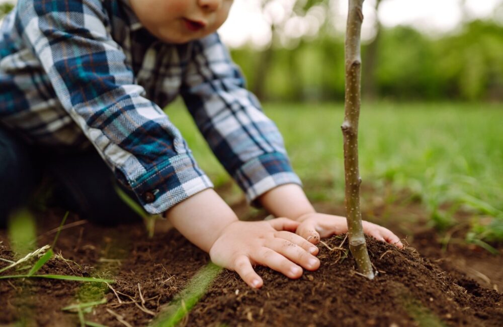 The Healing Power of Planting a Tree in Memory of a Loved One