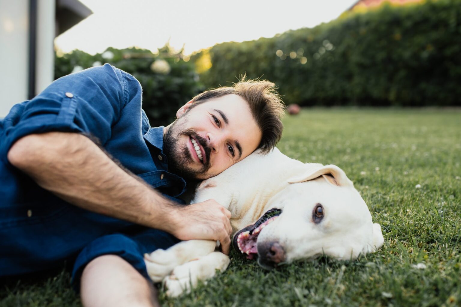 Navigating Seattle with Furry Friends ─ Considerations for a Family Pet