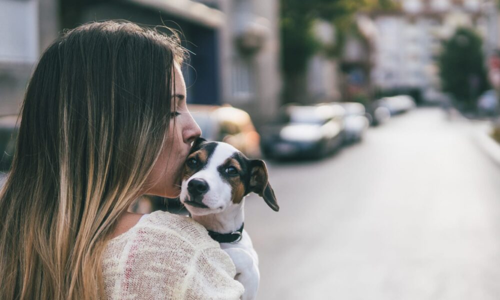 Navigating Seattle with Furry Friends ─ Considerations for a Family Pet