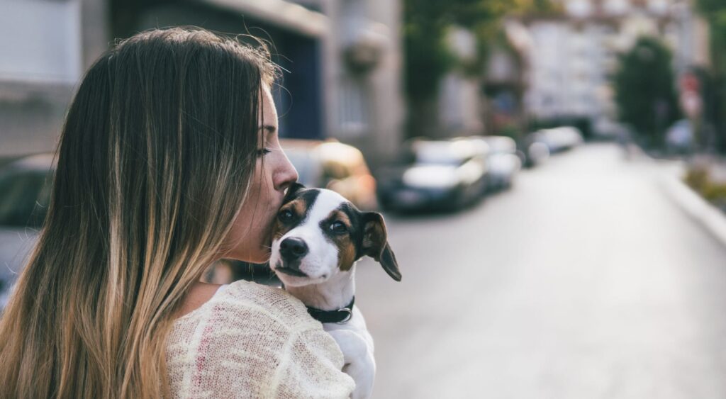 Navigating Seattle with Furry Friends ─ Considerations for a Family Pet